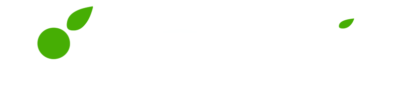 Cây Tre - Chu Kỳ Ra Hoa Của Cây Tre (Cập Nhật 2025)