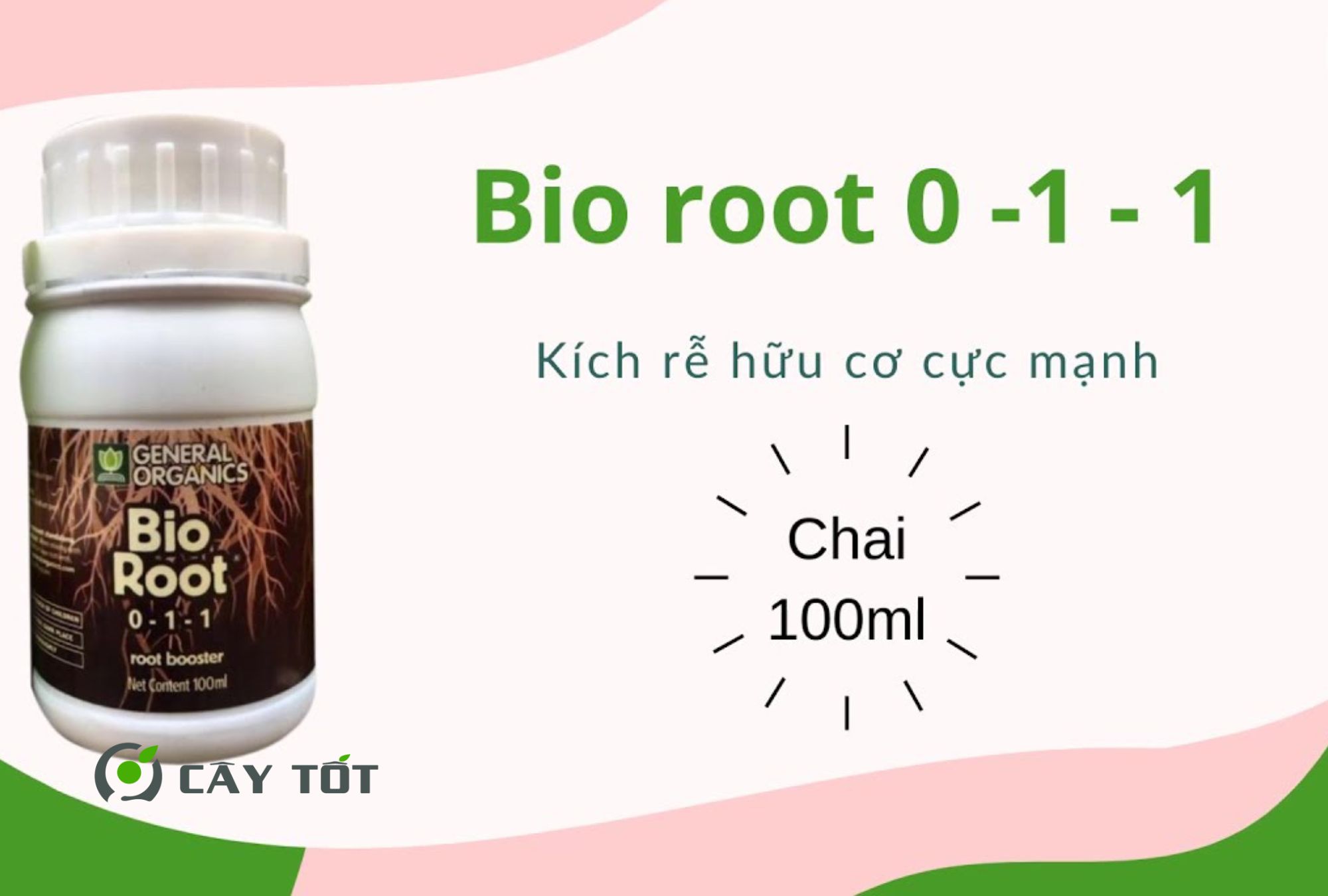 5 Lý Do Thương Lái Nên Lựa Chọn Root Bio USA Ngay