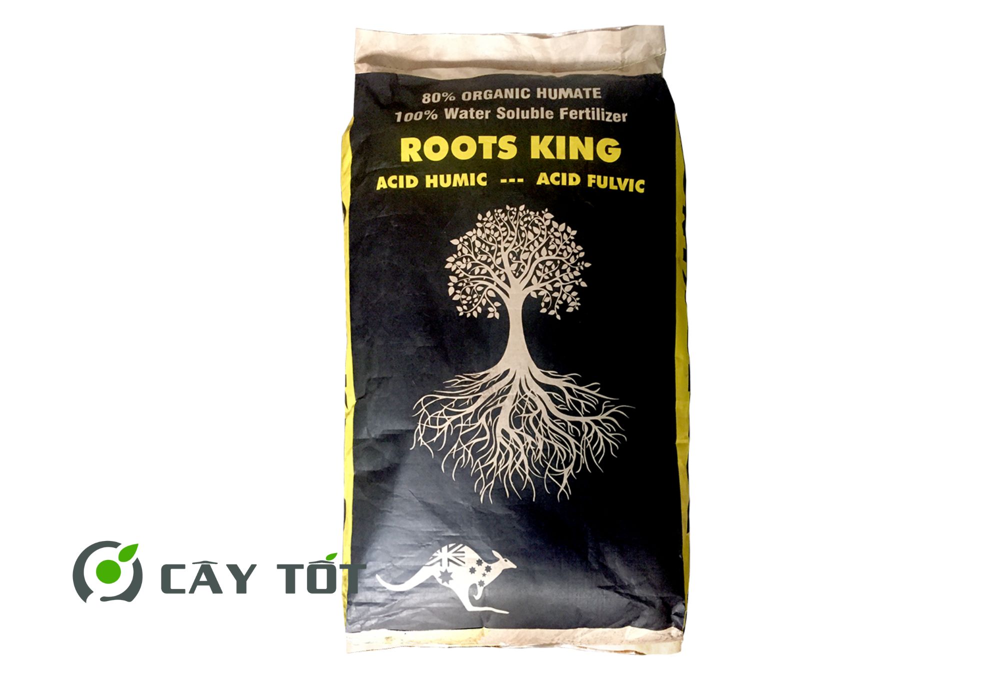 Kích Rễ Root King: Thuốc Kích Rễ Giâm Cành, Hiệu Quả 95%