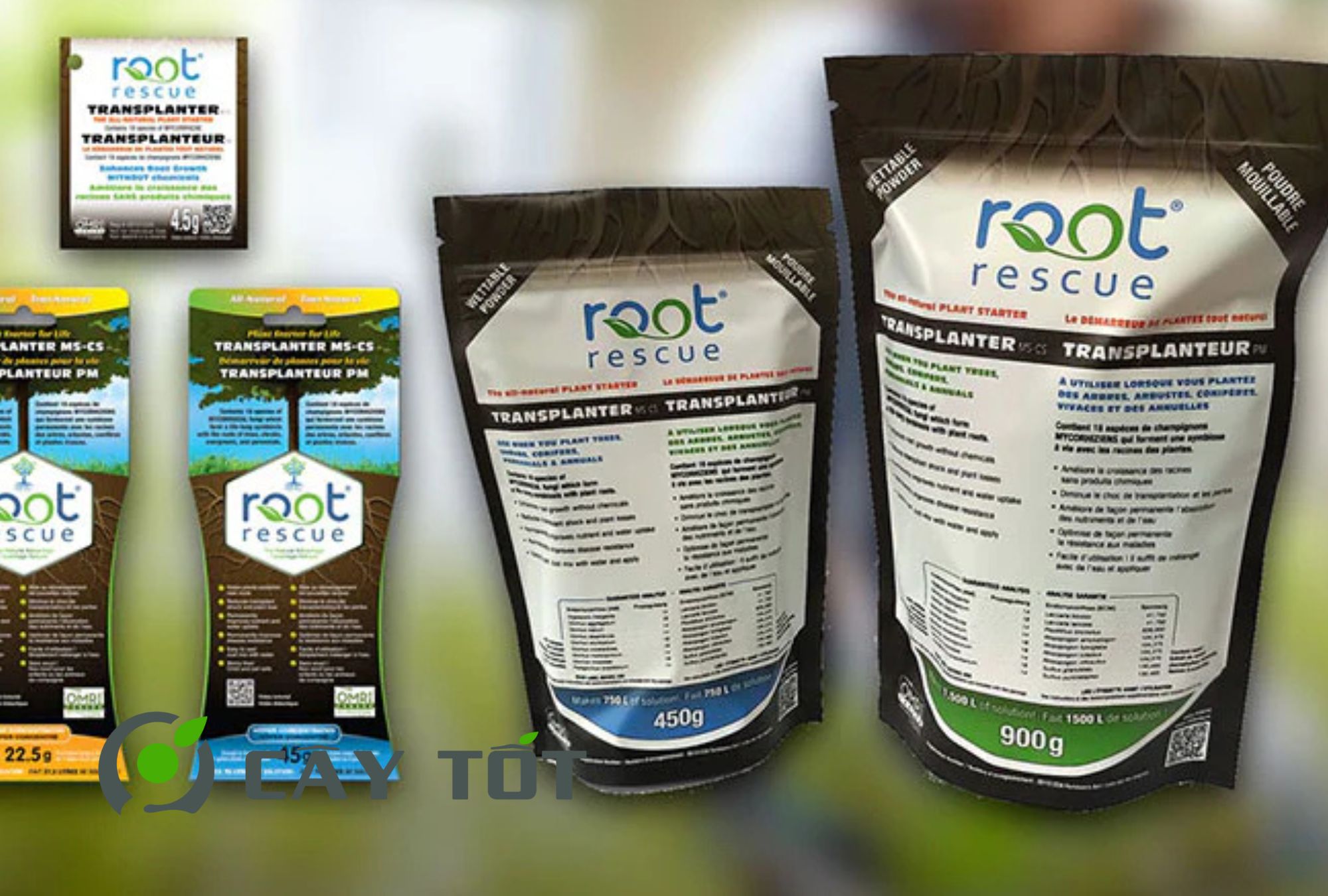 Kích Rễ Root For Life - 5 Bí Quyết Vàng Cho Vườn Cây Bội Thu