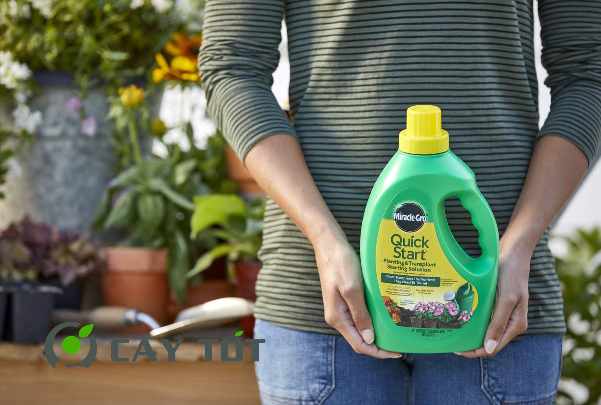 5 Bước Đơn Giản Với Root Quick Start Giúp Rễ Cây Phát Triển