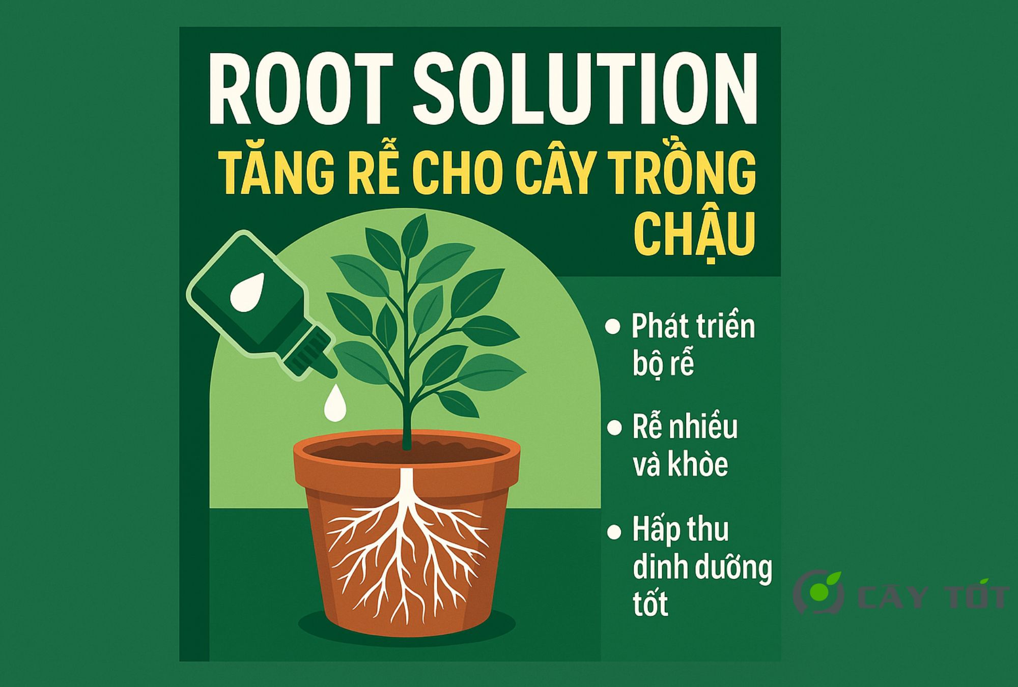 5 Lý Do Nên Dùng Root Solution Cho Cây Trồng Chậu