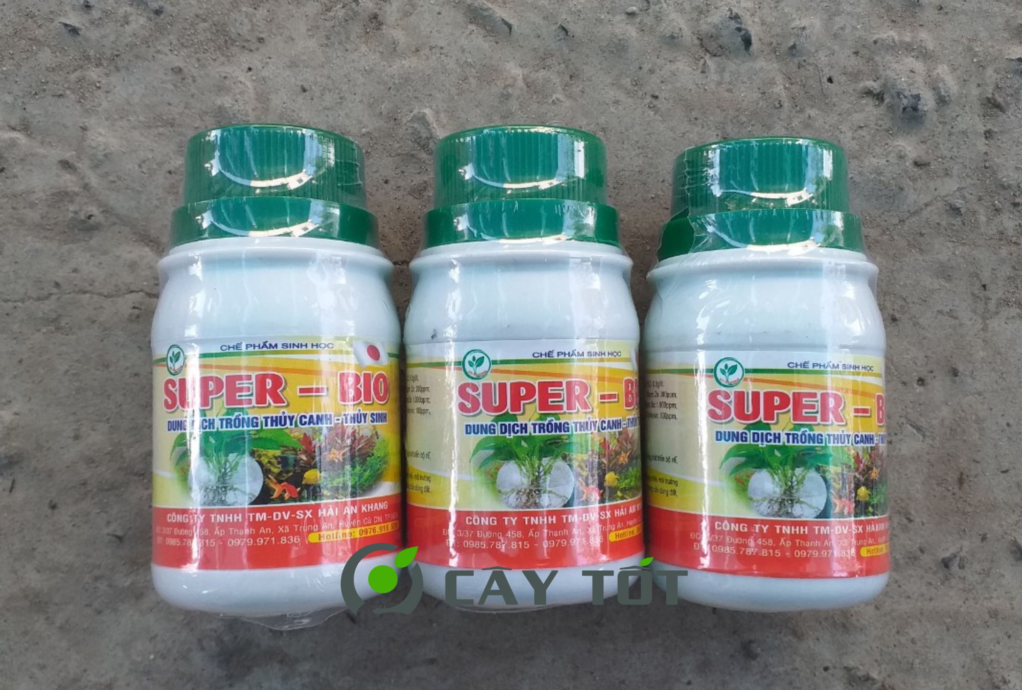 5 Công Dụng Của Super Root Bio Tăng Bộ Rễ Con Hiệu Quả
